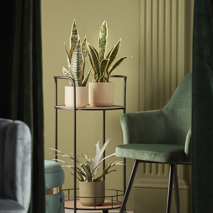 EDG Enzo De Gasperi Classic Ceramic Vase H18 D18.5 cm Champagne — Le Gioie